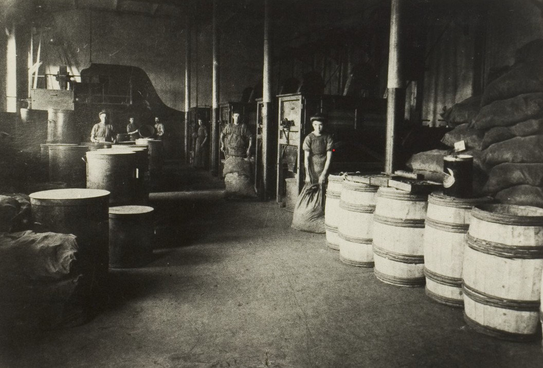 Cacaofabriek in Helmond | Brabant in Beelden