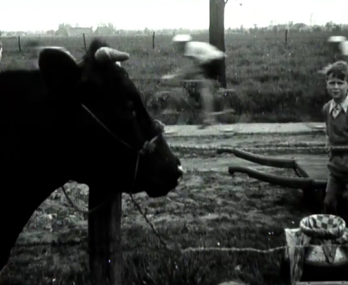 De oudste films van Chaam | Brabant in Beelden