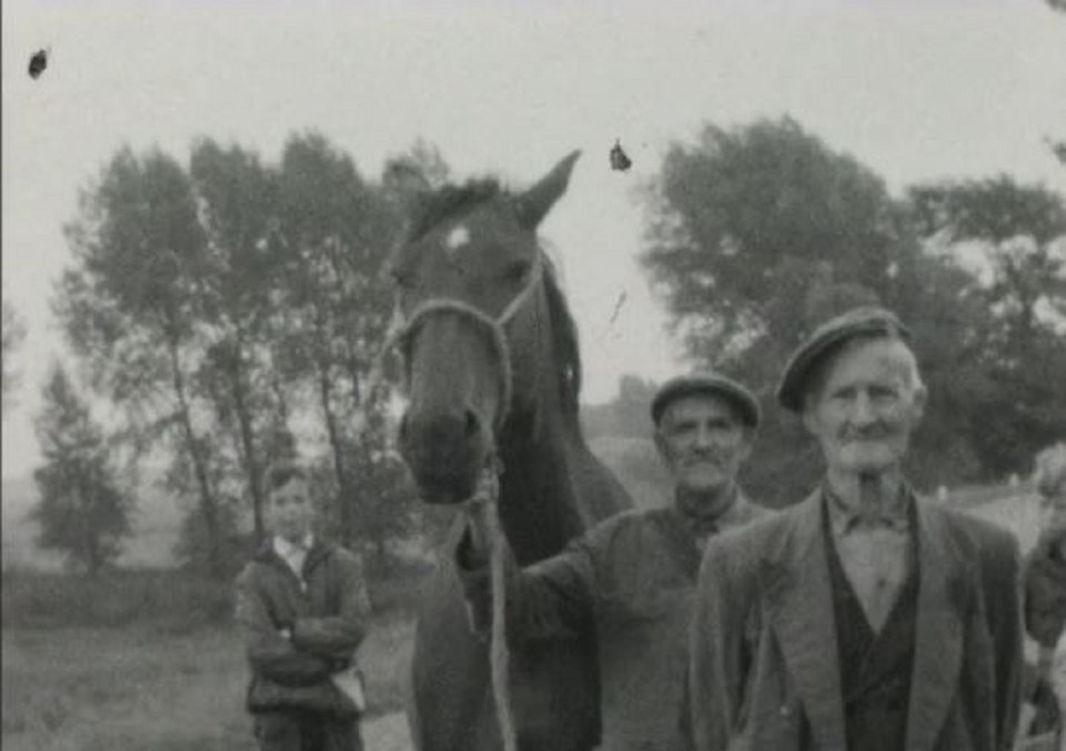 Dorpsfilm Rijswijk 1967 | Brabant in Beelden