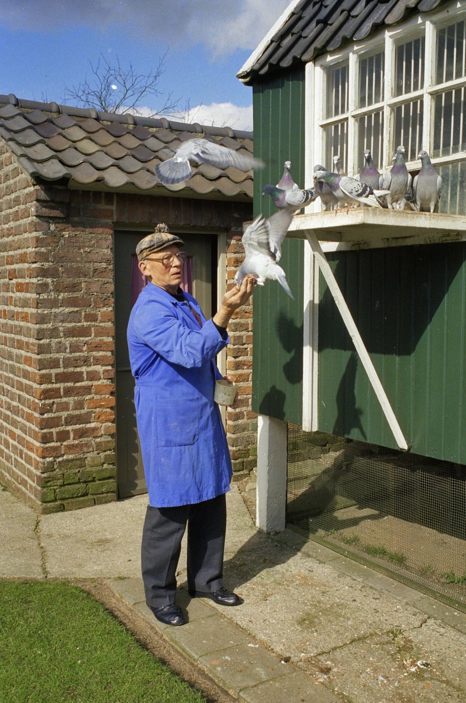 Duivensport | Brabant in Beelden